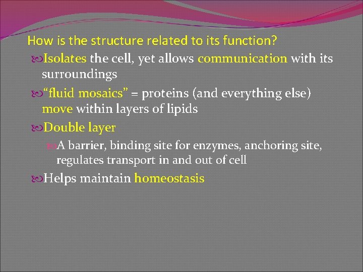 The Plasma Membrane Gateway to the Cell Photograph