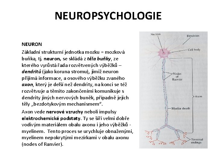 OBECN VVOJOV SOCILN a ZDRAVOTNICK PSYCHOLOGIE RNDr Eva