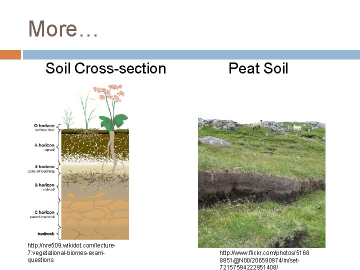 SOILS Different types different results What is soil