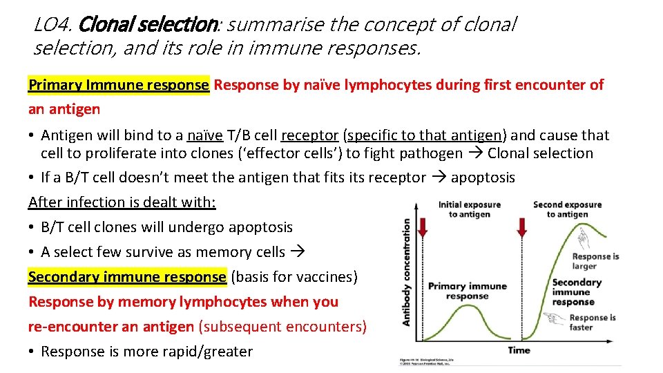 Immunology 1 Lectures 1 4 5 9 Ayesha