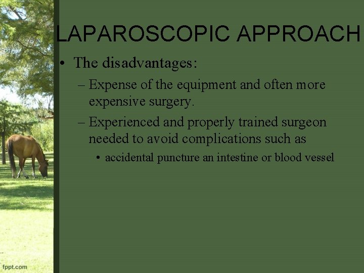 EQUINE CRYPTORCHIDECTOMY Intraoperation Considerations INGUINAL ...