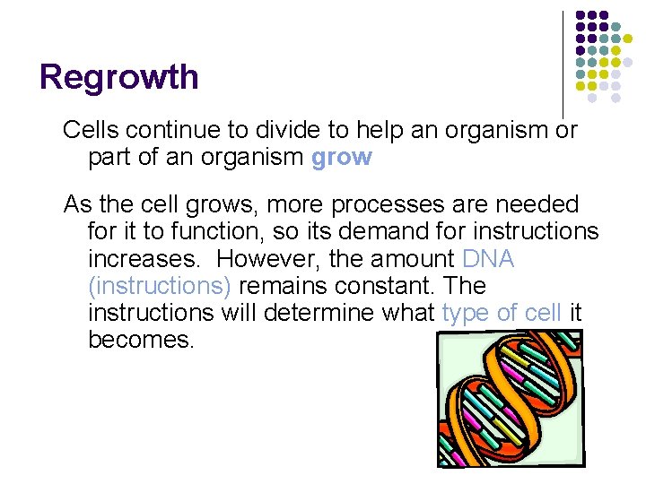 Cell Division An informative presentation by your wacky