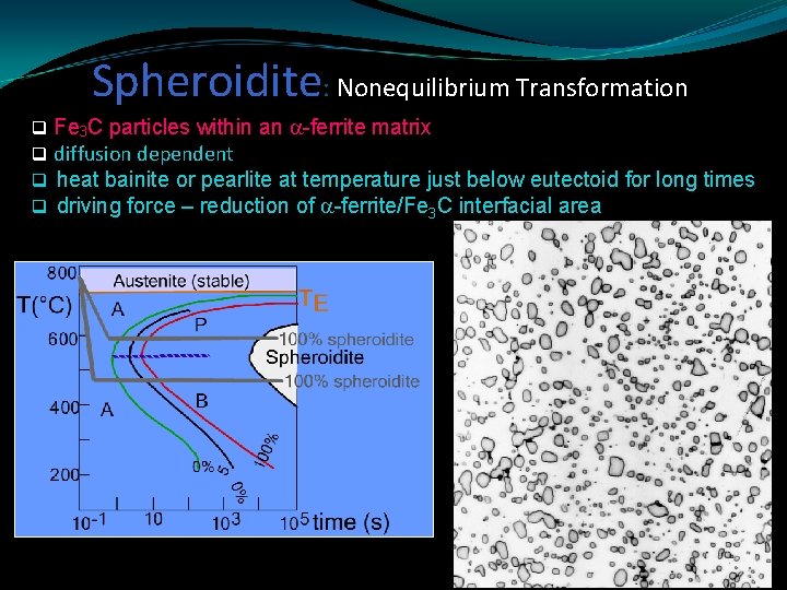 Ferrite BCC Martensite BCT Austenite FCC Chapter 10