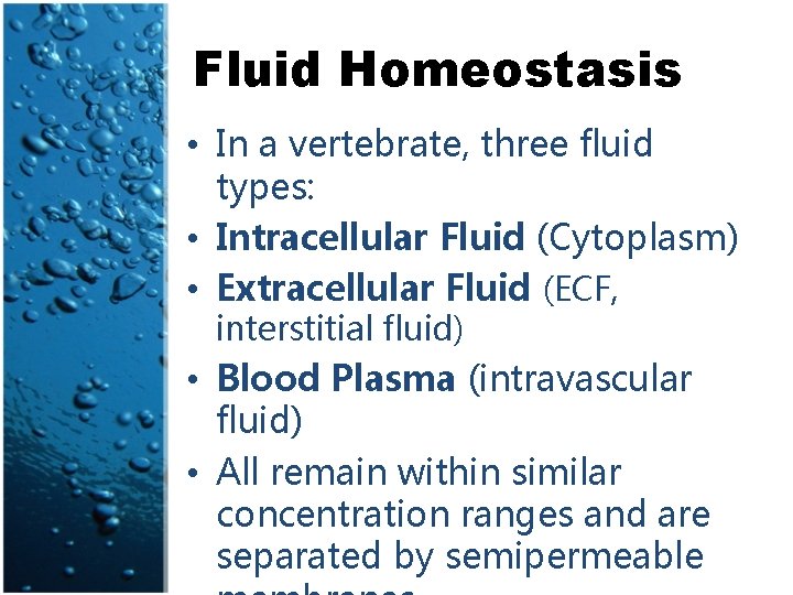 Fluid Balance SBI 4 U Biology The importance