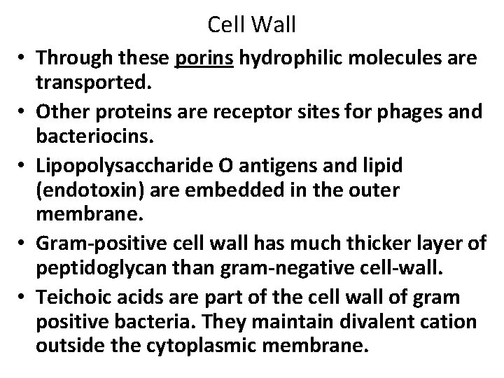 Bacterial Morphology Dr Abdulaziz AlKhattaf Protoplasm Bacteria organized