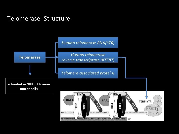 About OMICS Group is an amalgamation of Open