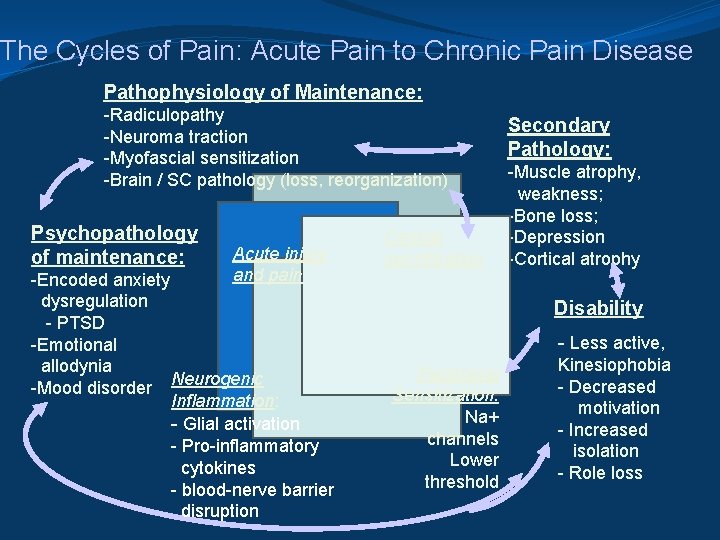 THE BEGINNING OEFOIF Trauma and Axial Load Injuries