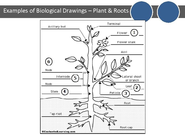 DO NOW January 5 th 2015 Objective Students