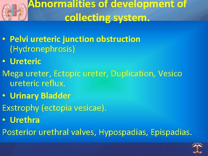 Congenital anomalies of Renal system Objectives To give