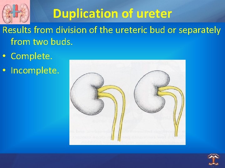 Congenital anomalies of Renal system Objectives To give