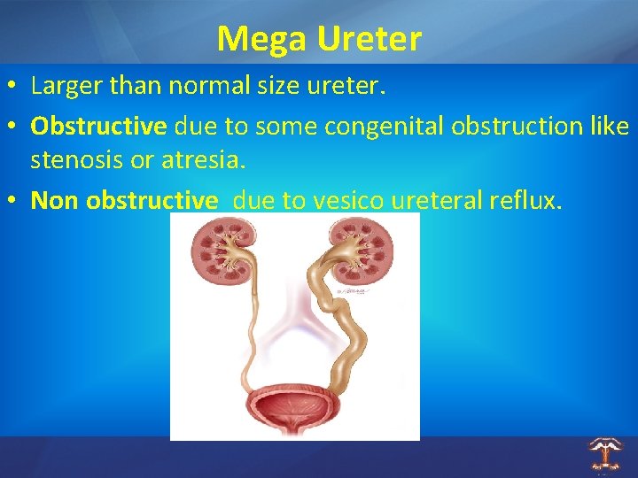 Congenital anomalies of Renal system Objectives To give