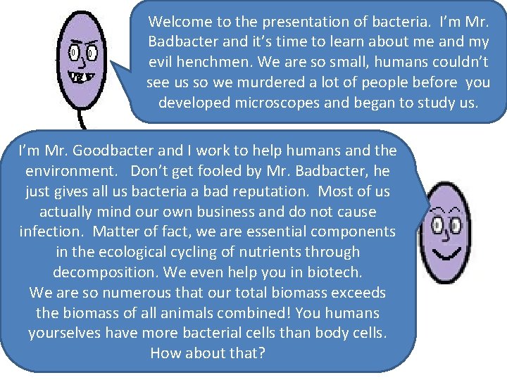 Bacteria Begins Welcome to the presentation of bacteria