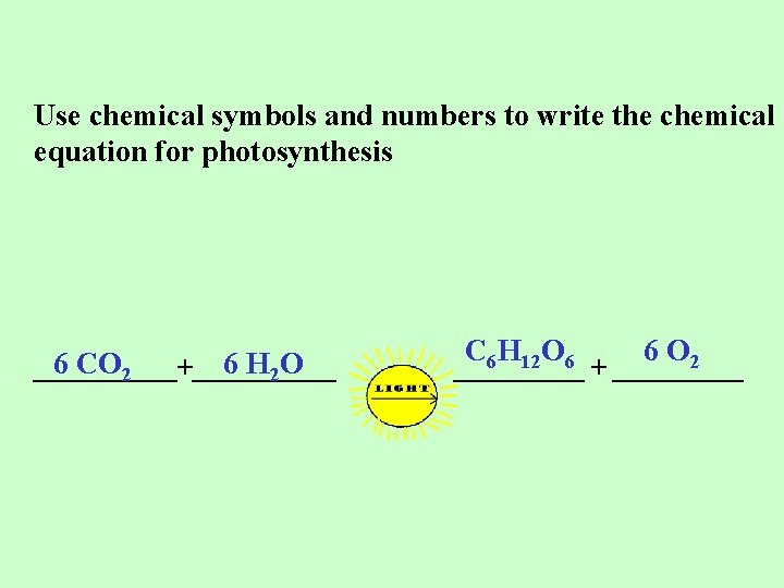 Photosynthesis Review Chapter 8 Plants look green because