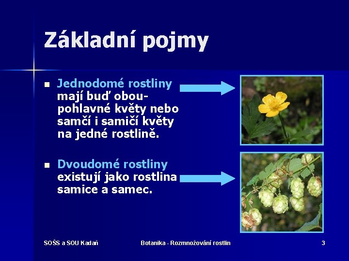 BOTANIKA ROZMNOOVN ROSTLIN SOS a SOU Kada Botanika