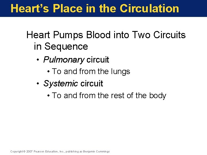 Cardiovascular System Hearts Place in the Circulation Heart