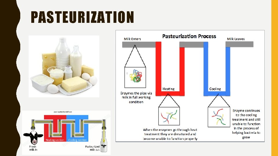 THE ORIGIN OF CELLS SUBTOPIC 1 5 THERE