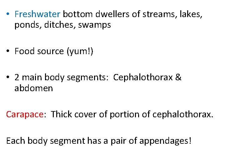 The Crayfish Freshwater bottom dwellers of streams lakes