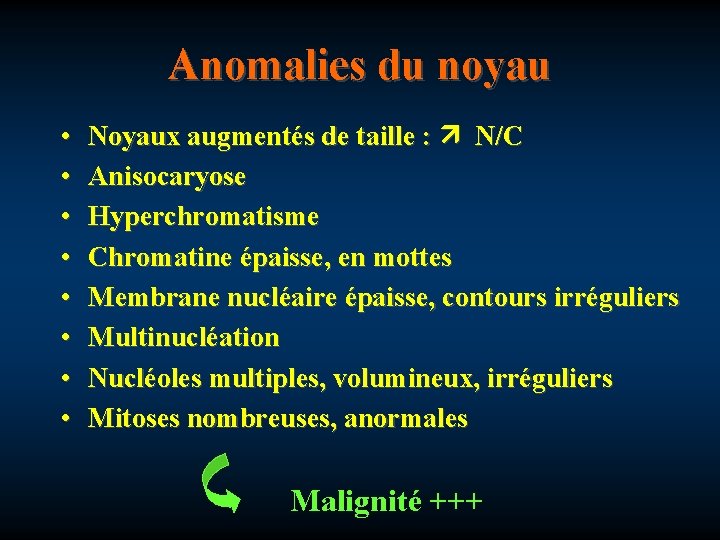 TRAVAUX PRATIQUES La cellule cancreuse Dr Fanny VANDENBOS