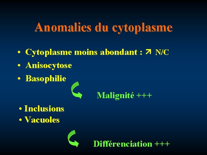 TRAVAUX PRATIQUES La cellule cancreuse Dr Fanny VANDENBOS