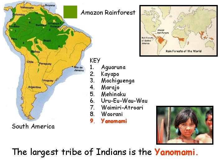Living in the Amazon Who lives in the