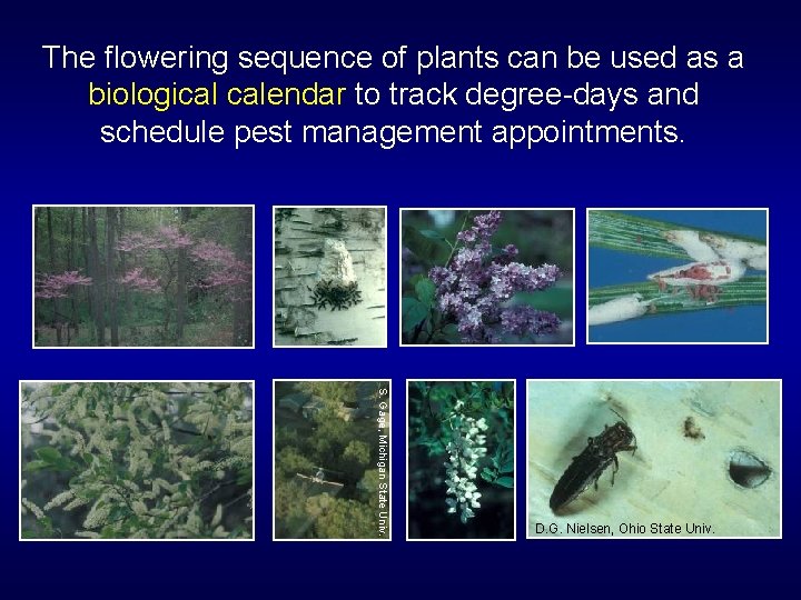 Biological Calendars Phenology and Growing DegreeDays for Monitoring