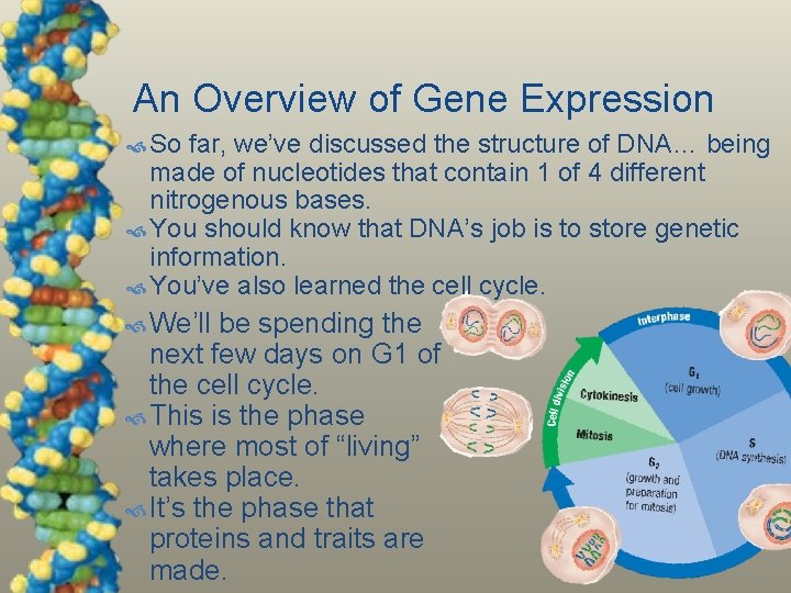 Bellringer Chemical structures that are involved in physiological