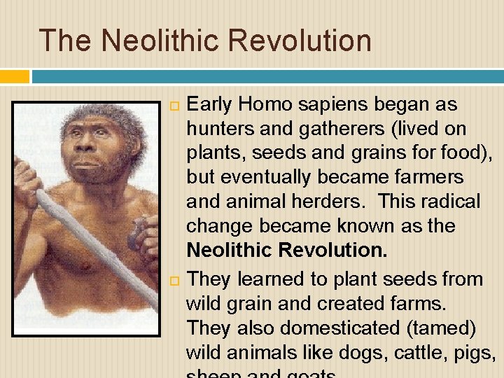 THE NEOLITHIC REVOLUTION Social Studies 10 The Neolithic