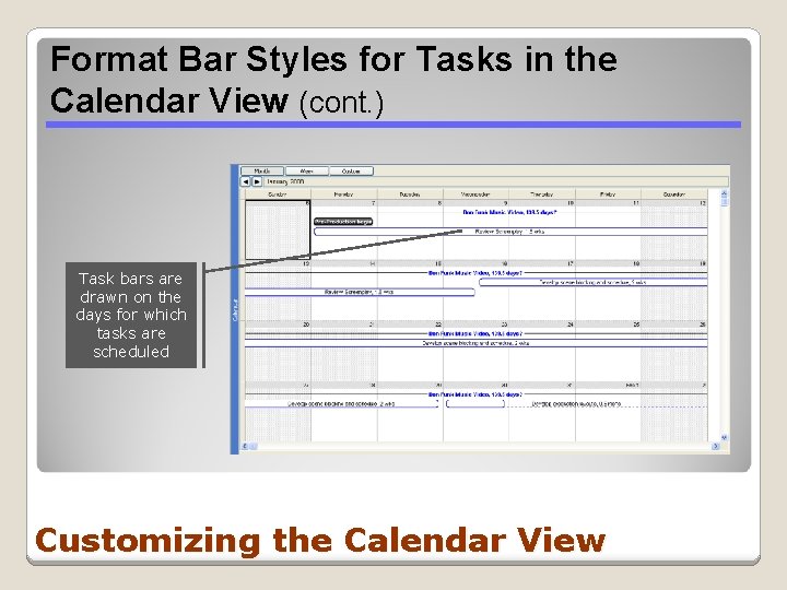 Advanced Project Plan Formatting Lesson 14 Skills Matrix