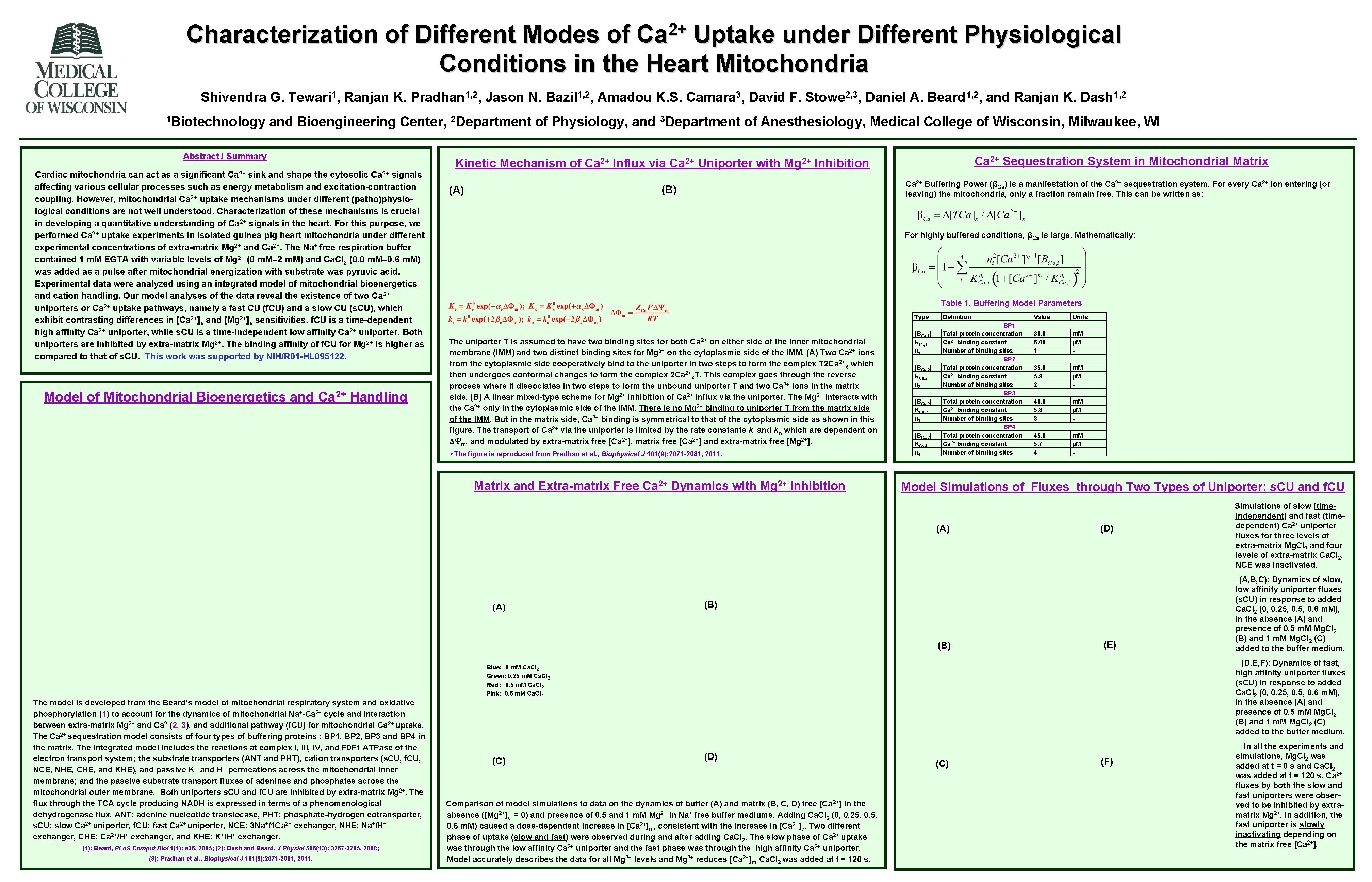 2 Ca Characterization of Different Modes of Uptake