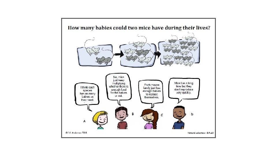Natural Selection Cartoons Which inference A B C