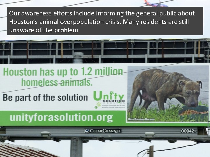 Unity for a Solution An animal welfare collaboration