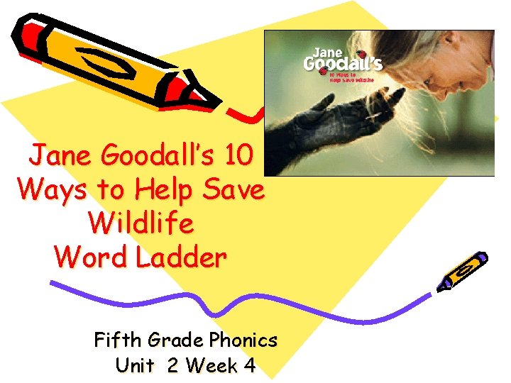 Jane Goodalls 10 Ways to Help Save Wildlife