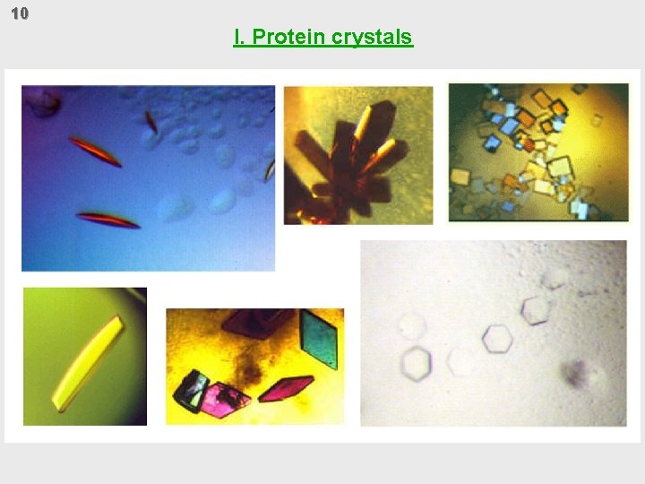 1 Structure Bioinformatics Course Basel 2004 Introduction to