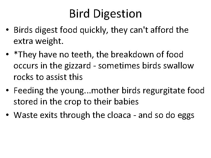 Birds Ornithology is the study of birds In