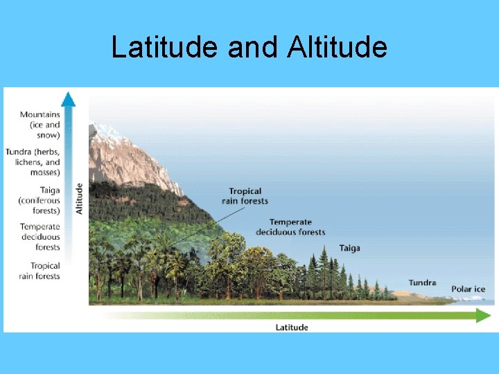 CHAPTER 6 BIOMES 6 1 What is a