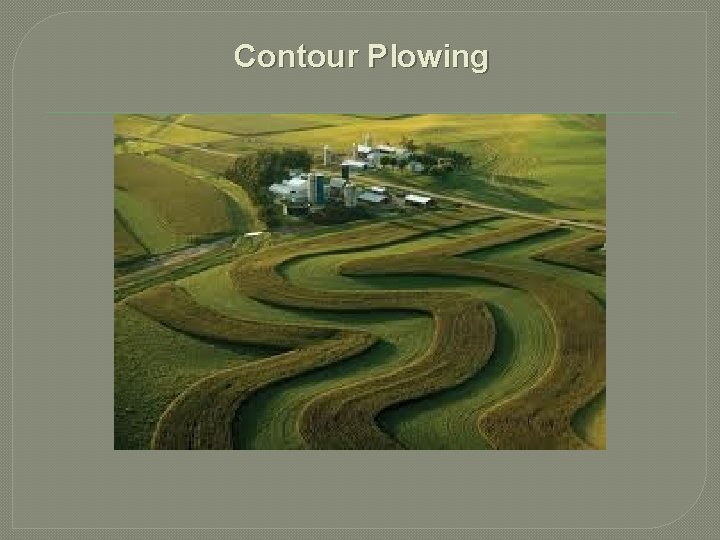 Conservation Practices Conservation Vocabulary Stewardship a person whose