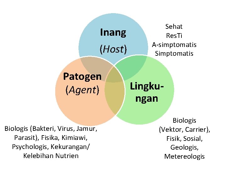 Pencegahan Stunting 22 Juli 2019 Kabupaten Parimo Sulawesi