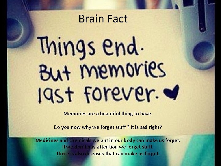 Brain Facts The brain looks soft and squooshy