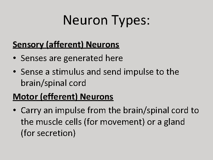 The Nervous System Learning Goal Can you describe