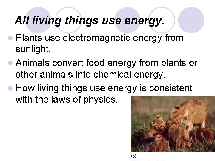 Chapter 15 1 15 2 THE BASIC UNIT