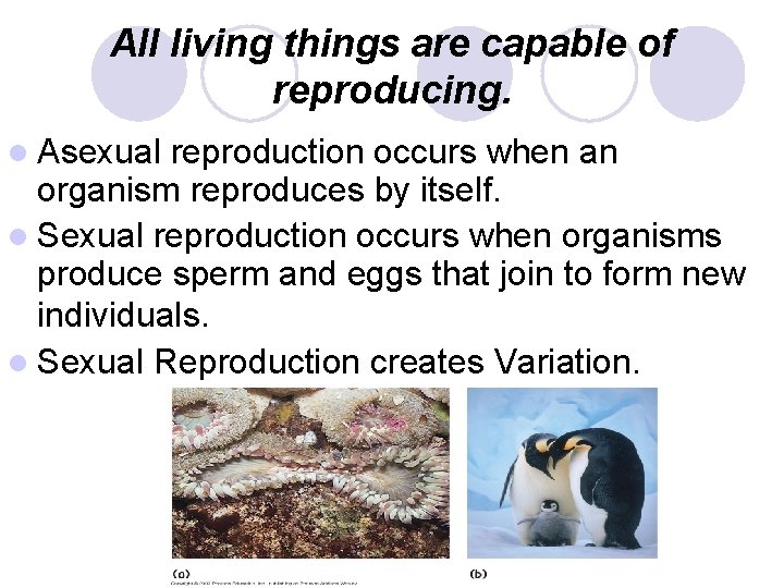 Chapter 15 1 15 2 THE BASIC UNIT