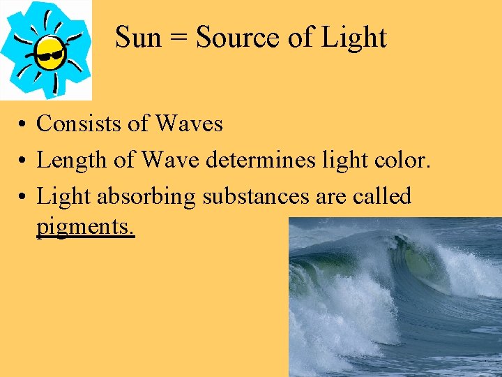 Photosynthesis Strategy for survival to obtain energy to