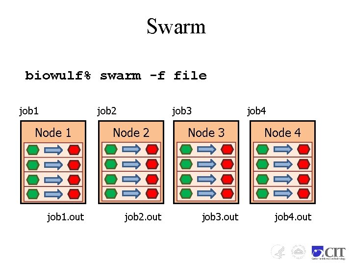 Swarms and Bundles Bioinformatics and Biostatistics on Biowulf