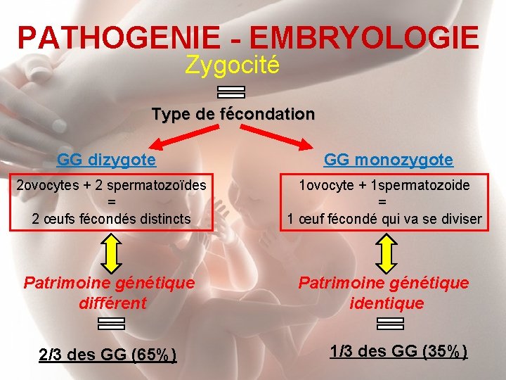 FACULTE DE MEDECINE ANNABA Module de gyncologieobsttrique GROSSESSE