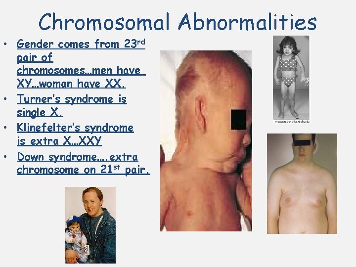 Genetics Evolutionary Psychology and Behavior Genetics Every human