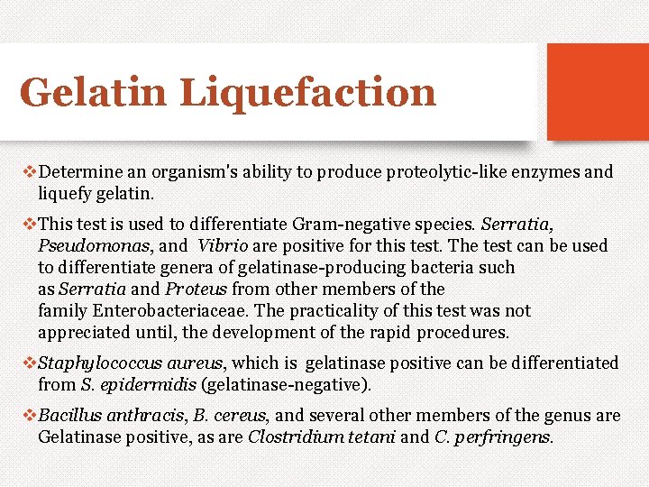 Amylase Production Starch Hydrolysis Test v Starch agar