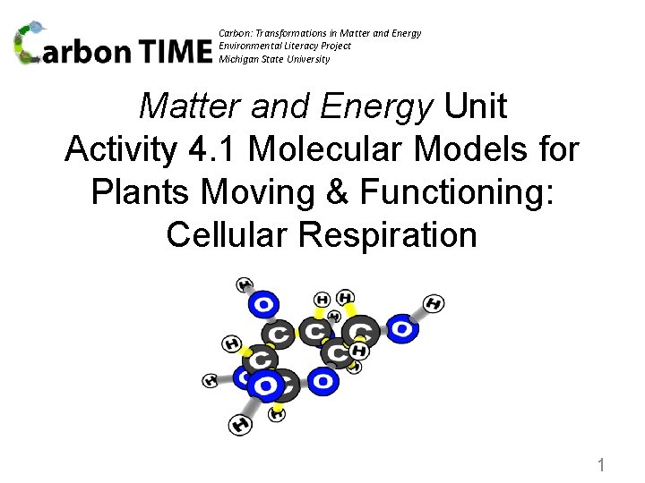 Carbon Transformations in Matter and Energy Environmental Literacy