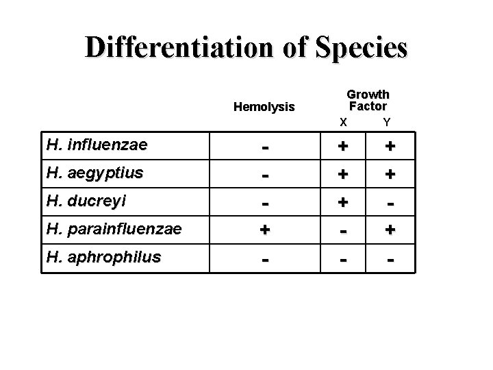 Haemophilus Dr Salma Overview Haemophilus Small Nonmotile Gramnegative