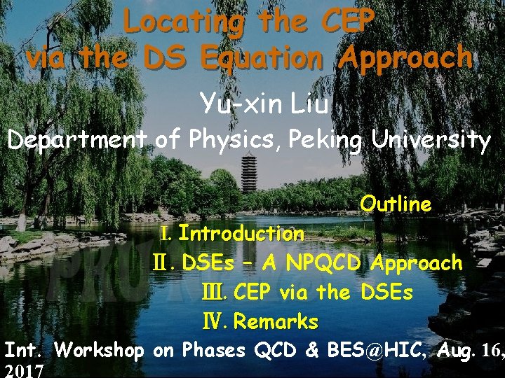 Locating the CEP via the DS Equation Approach