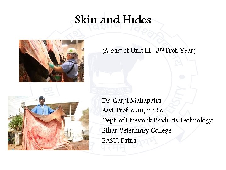 Skin and Hides A part of Unit III